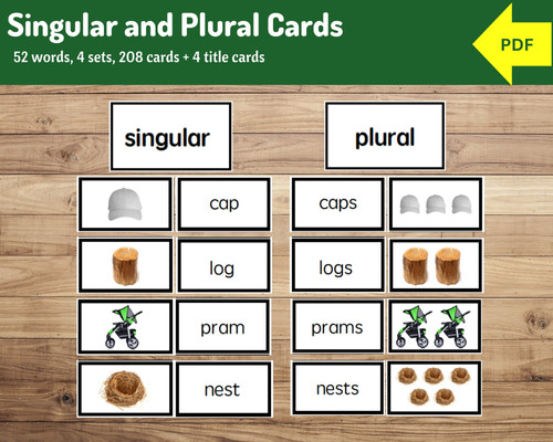 Singular and Plural Cards Set | Montessori Pink Blue Green Series for ...