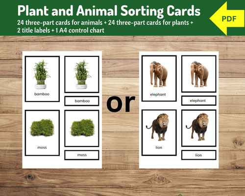 Montessori Plant and Animal Sorting Cards - Hands-On Biology Lesson for ...