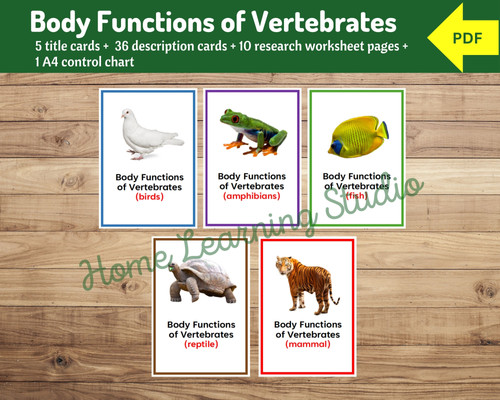 Body Functions of Vertebrates: Picture Cards and Research Worksheets ...