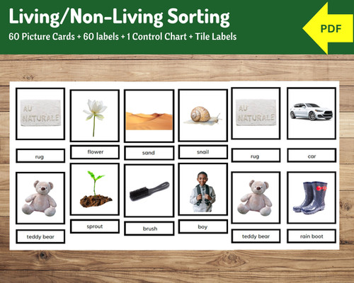 Living and Non-Living Sorting Cards | 60 Montessori Picture Cards ...