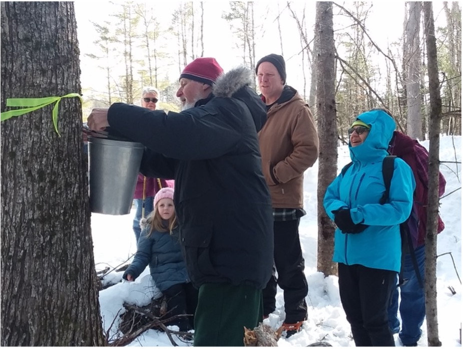 Maine Tree Farm Peer Network