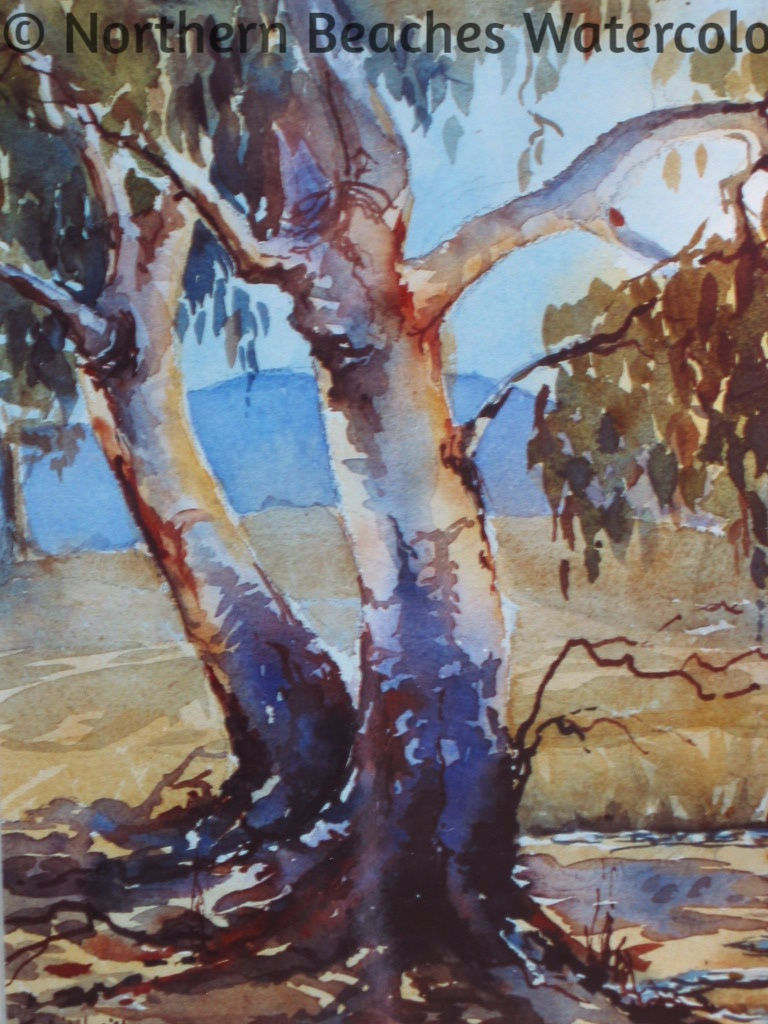 Watercolour Gum Trees - essence of Australia
