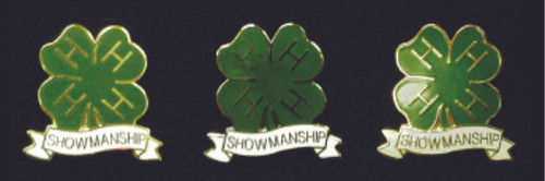 Showmanship | All Action Awards