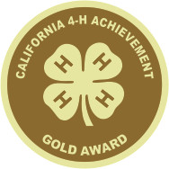 Achievement Stickers | All Action Awards