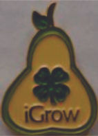 4-H Pins | All Action Awards