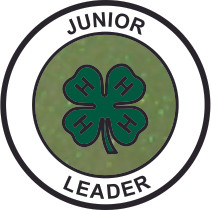 Junior Leader | All Action Awards