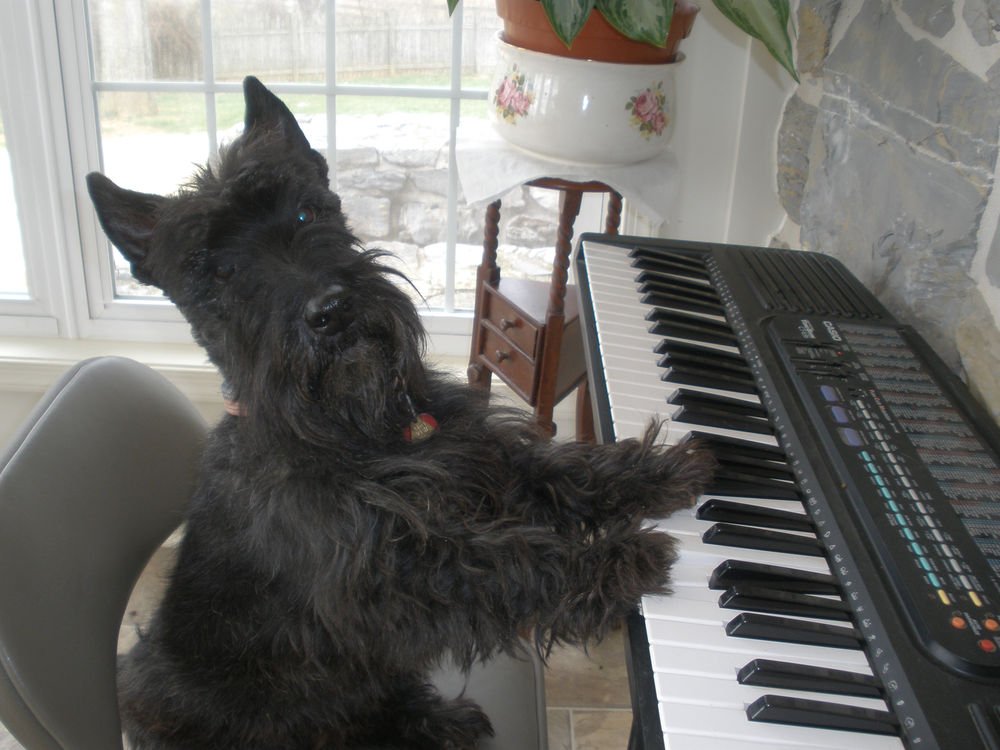 STILL REELING... AND ONE DELIGHTFUL CLIENT | puppyworks