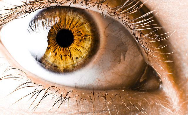 The Six Rarest Eye Colors in the World
