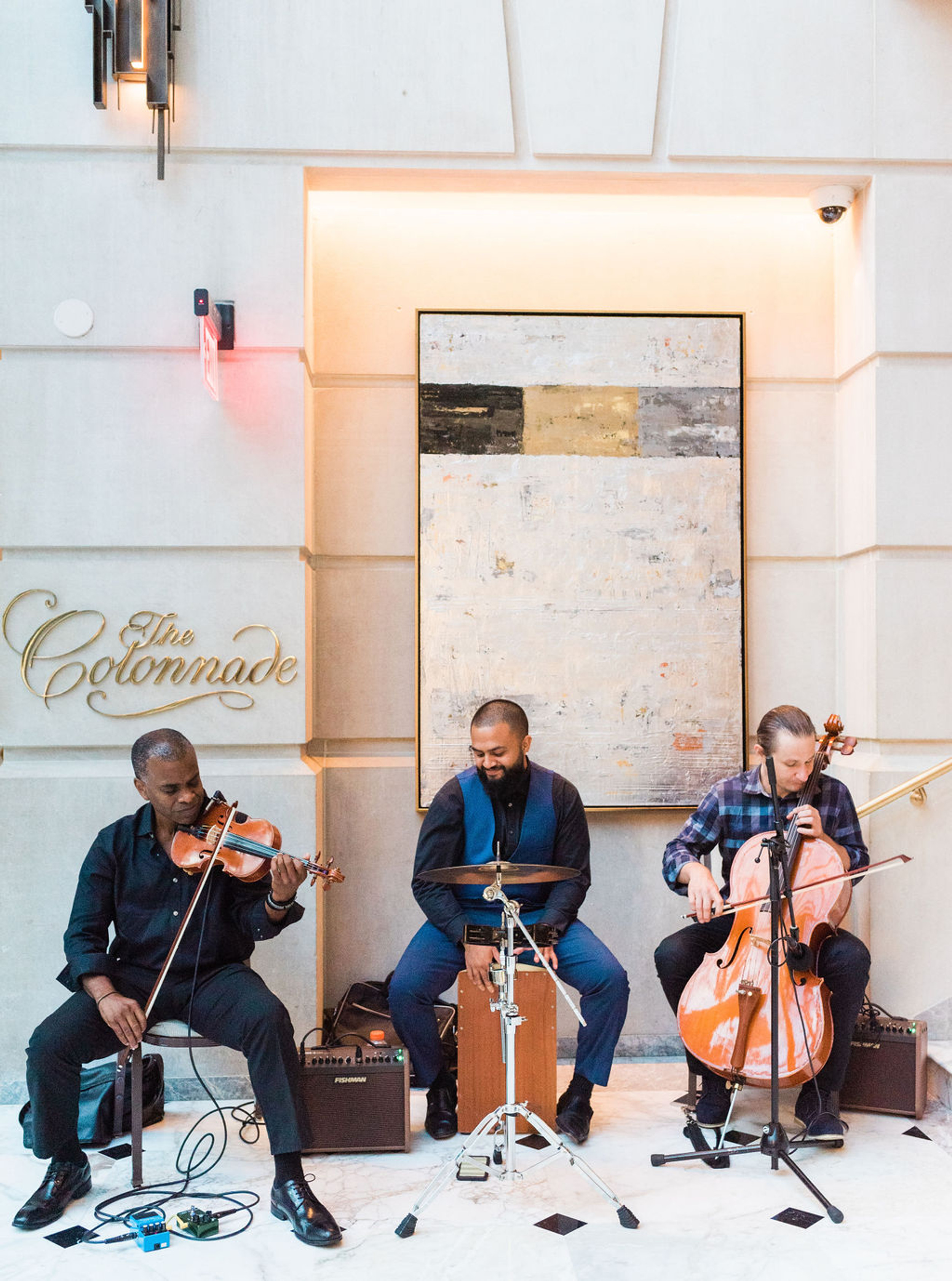 The Pop Trio | Rockville Strings | United States