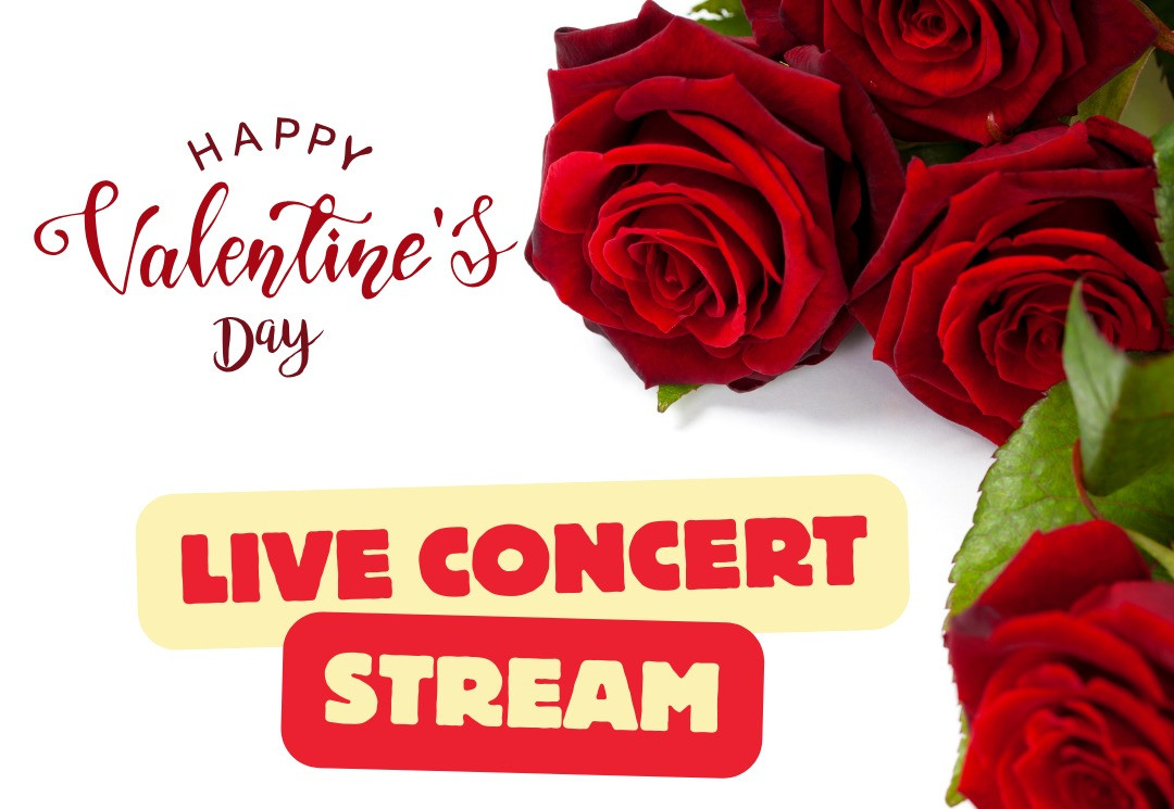 Rockville Strings | VIP Concert Experiences | United States