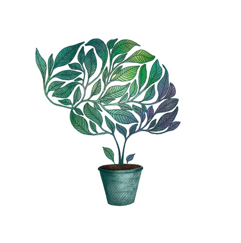'Thinking Plant' Art Print | Wild City UK