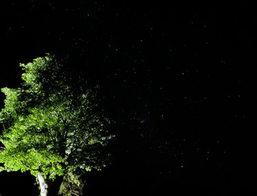 Tantebane Golf Resort | Accommodation | Restaurant | Tsamaya, North ...