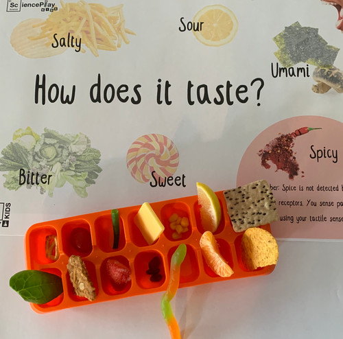 How does it taste? | SciencePlay Kids