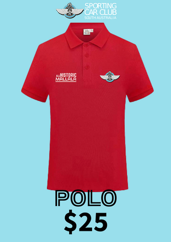 SCCSA All Historic Polo | SCCSA Official Site