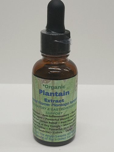 Plantain Extract | thejoshuatreeusa
