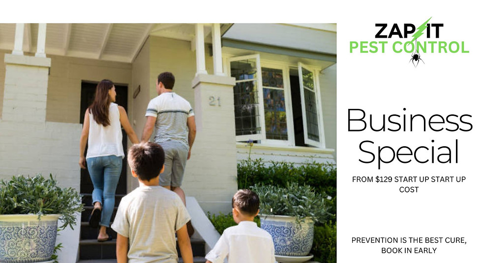 Zap It Pest Control Melbourne, Victoria | Expert Exterminator & Removal ...