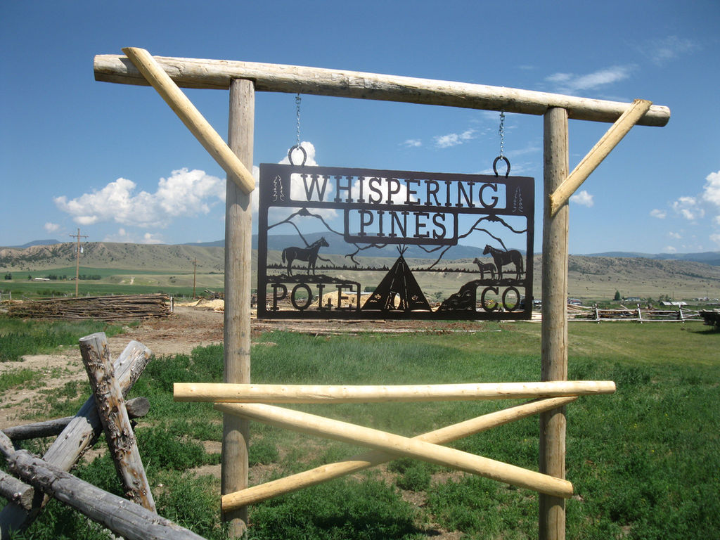 Montana Logging Association | Kalispell, MT