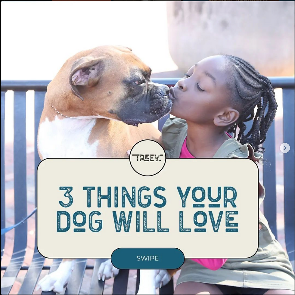 Kendall Rae's Marketplace | aGROWKulture