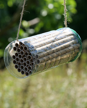 Make a solitary bee home | Blog | Urbee