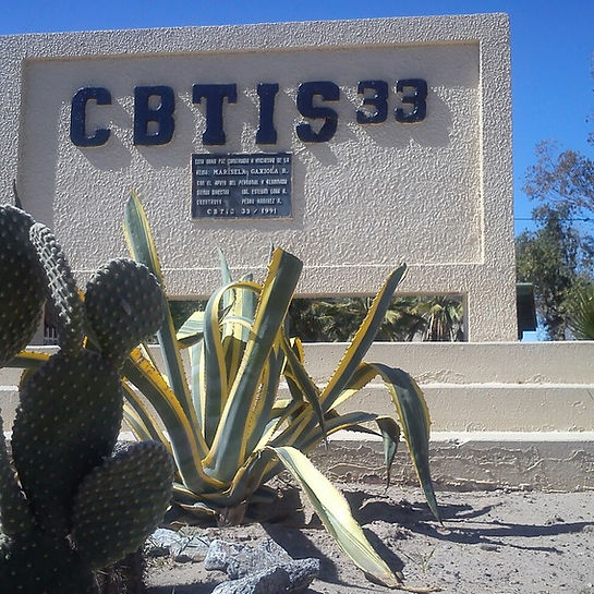 Contacto | CBTIS33