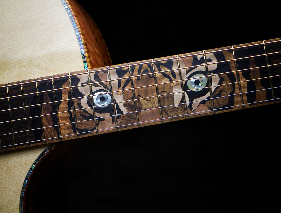 INLAYS | Driftwoodguitars