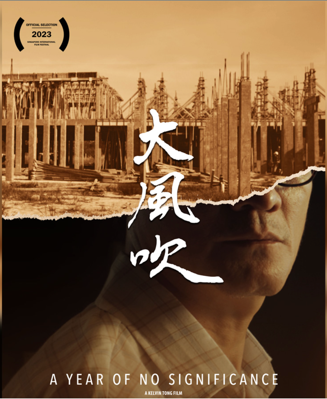 A Year of No Significance