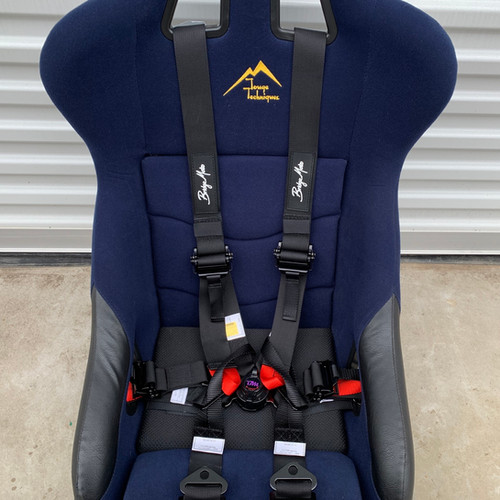 BridgeMoto FIA 2” Formula Harness | bridgemoto