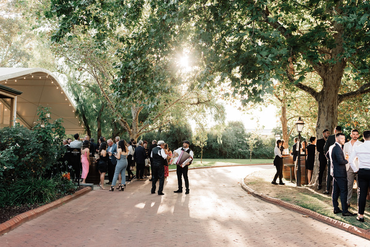 The Marquee | Sunnybrae Estate