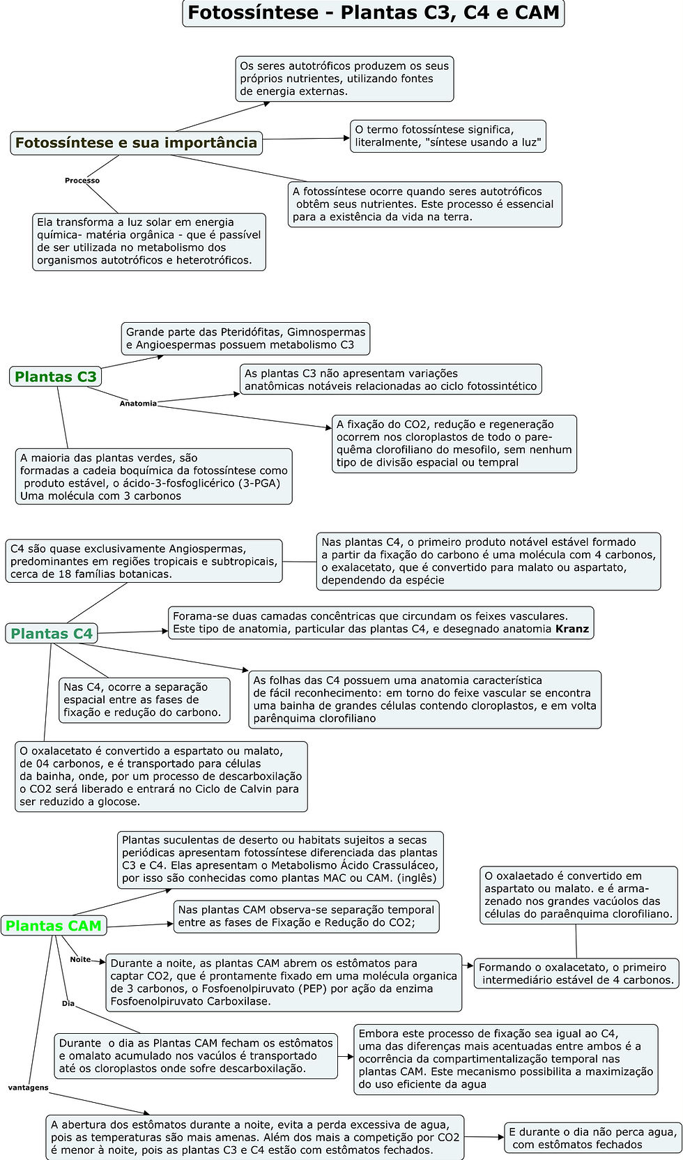 Plantas C3, C4 e CAM | ufsj