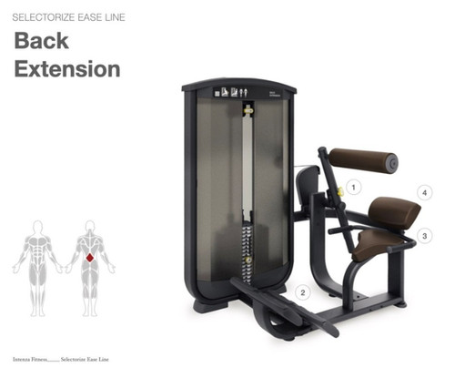 INTENZA BACK EXTENSION | Intenza Fitness