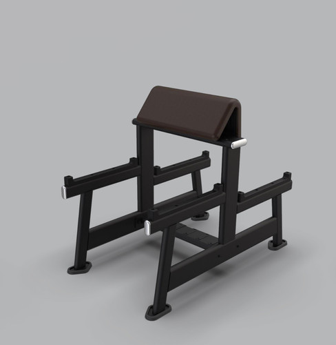 INTENZA ARM CURL BENCH | Intenza Fitness