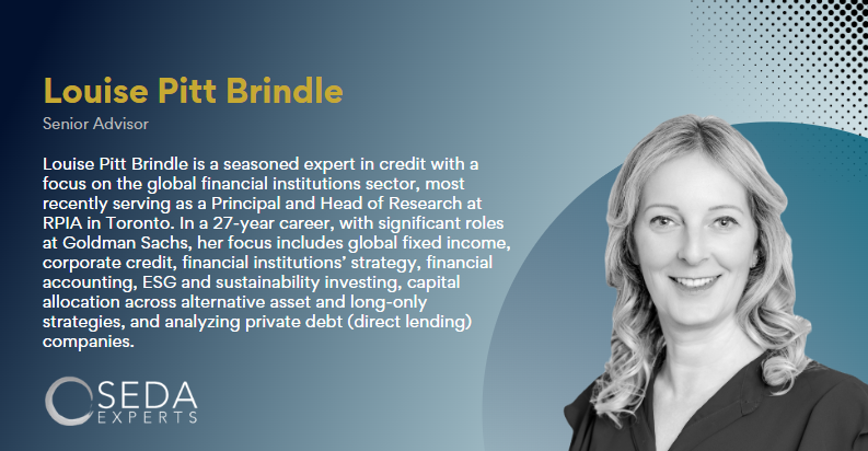 Louise Pitt Brindle | Fundamental Credit Expert Witness | SEDA Experts