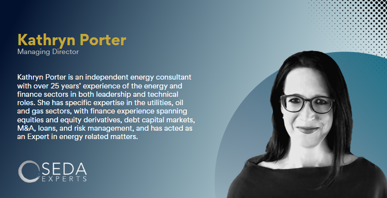 Kathryn Porter | Energy Expert Witness | SEDA Experts