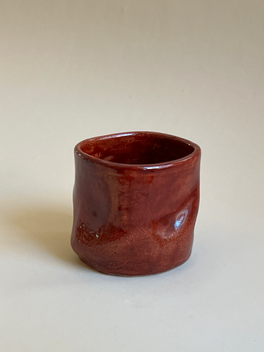 Algae Cup | The Turmeric Times