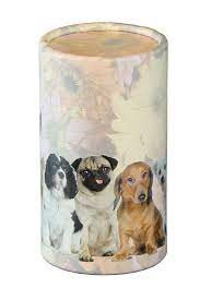 Dog Scatter Tube | Pet cremation keepsakes