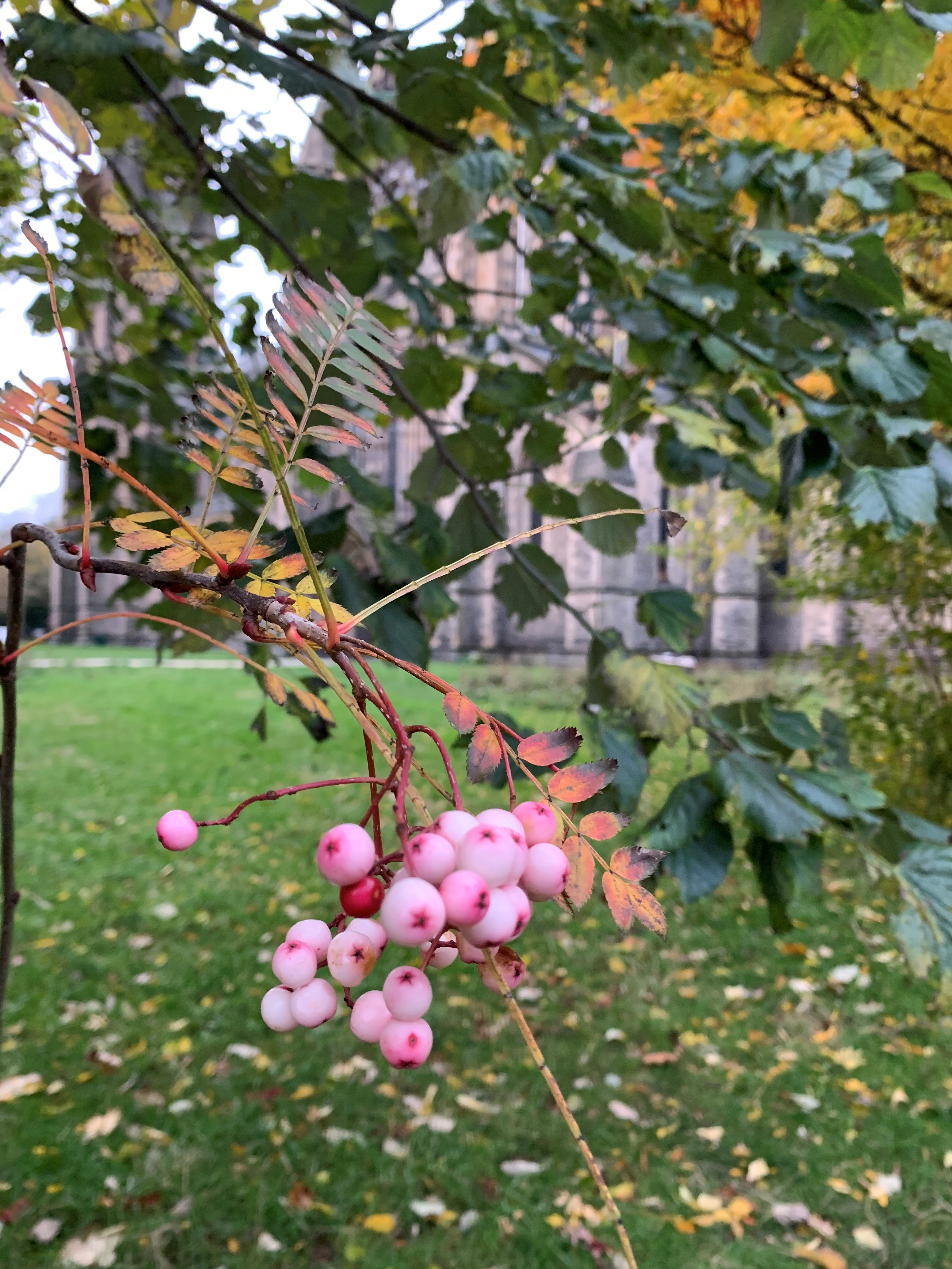 Pentecost 2 Year C | St Mary's Edinburgh