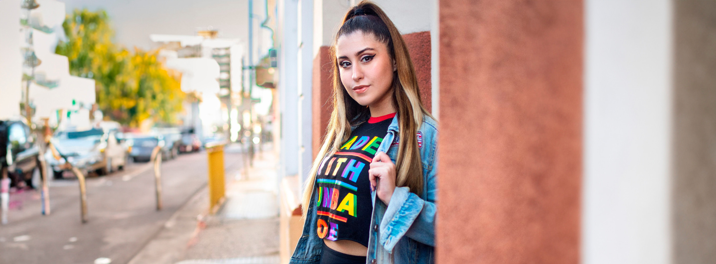 ZJ FLOR SALGADO Mixes