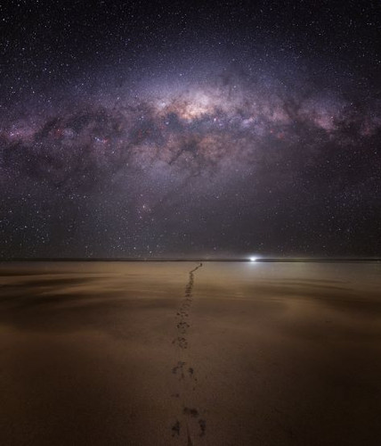 Kangaroo Track | Skymirror