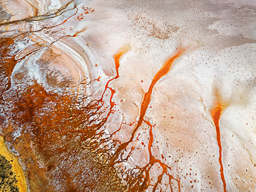 Salt of The Earth | Skymirror
