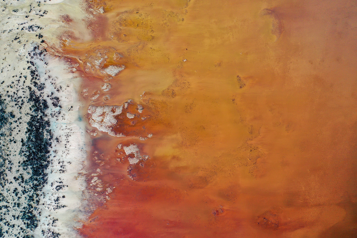 Photos by Alex Coppel now featured at Skymirror