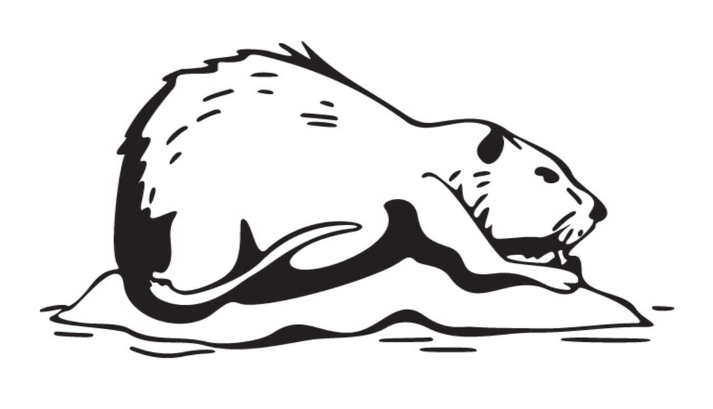 Know Your Patterns: Muskrat