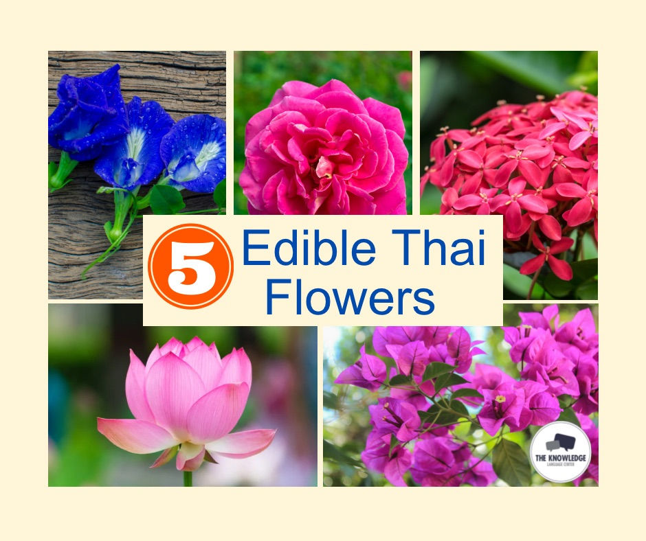 5 Edible Thai Flowers