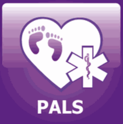 PALS Renewal | Archangel CE