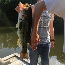 Sunset Ridge Farm | Gallery