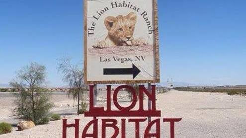 Lion Habitat Ranch