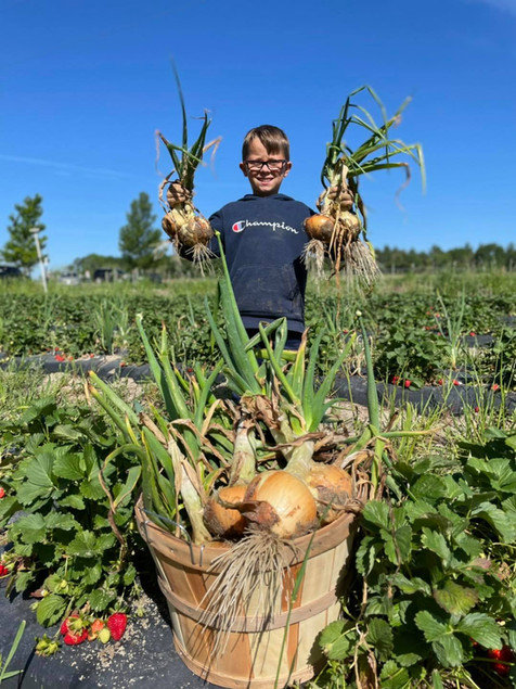 Home | Beck Farms Produce