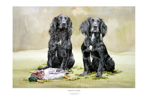 Working Cocker Spaniel print | Christopher Marshall
