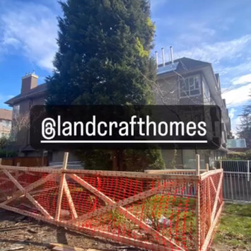 Barrier | Tree Barrier Protection Fencing | Surrey