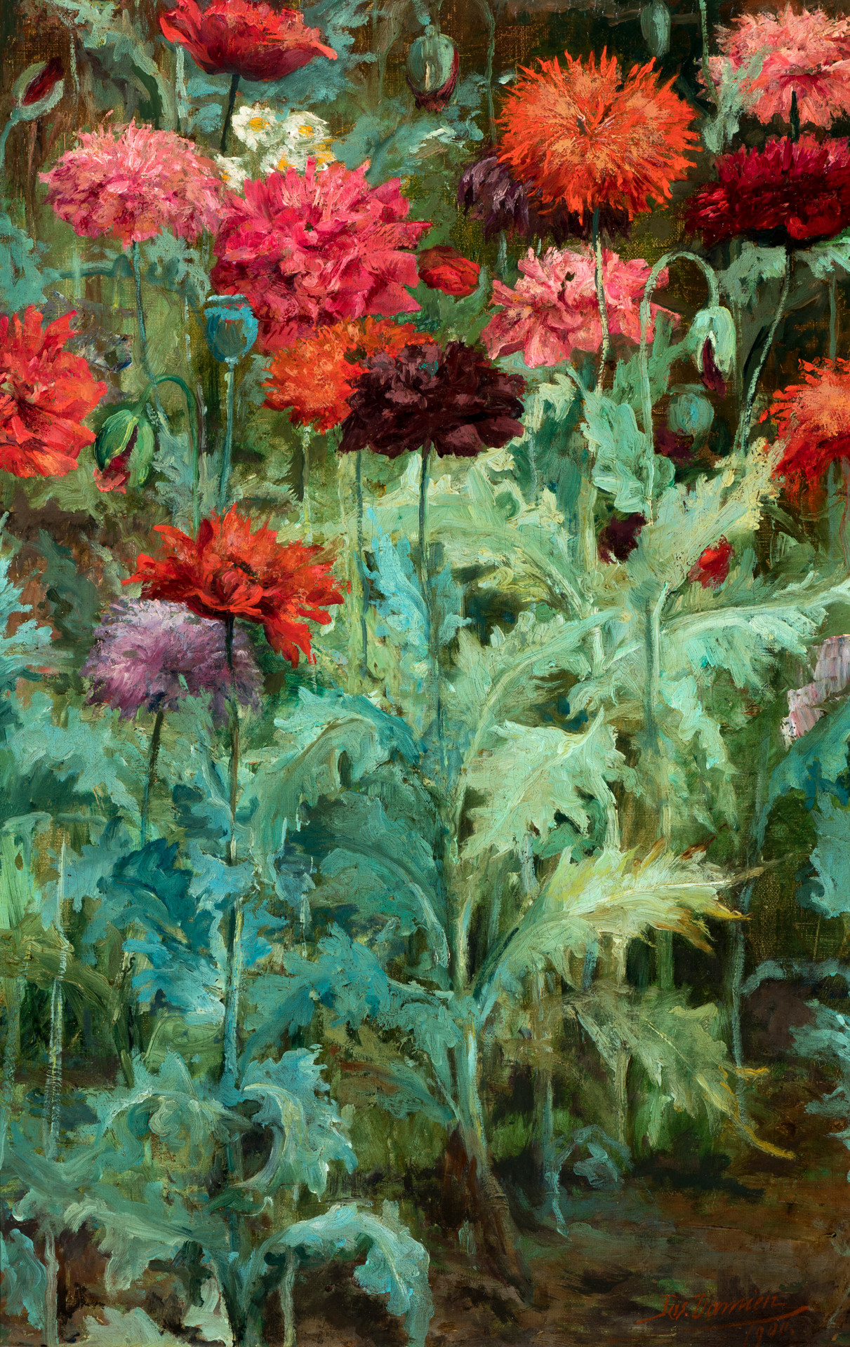 Jos Damien - Fieldflowers