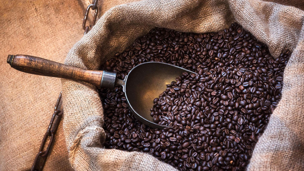MOKAFÉ : Shop Specialty Coffee Beans Online